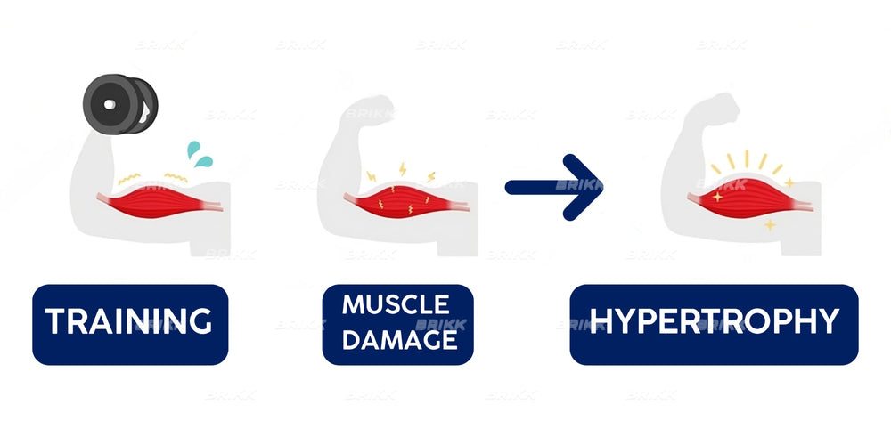 Train your jaw and facial muscles with BRIKK MastiGum® and JawMaxxer®
