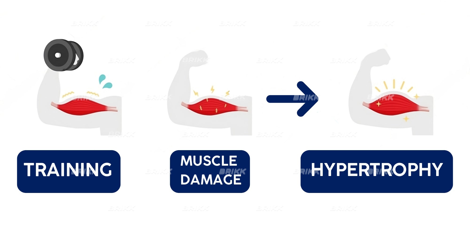 Train your jaw and facial muscles with BRIKK MastiGum® and JawMaxxer®